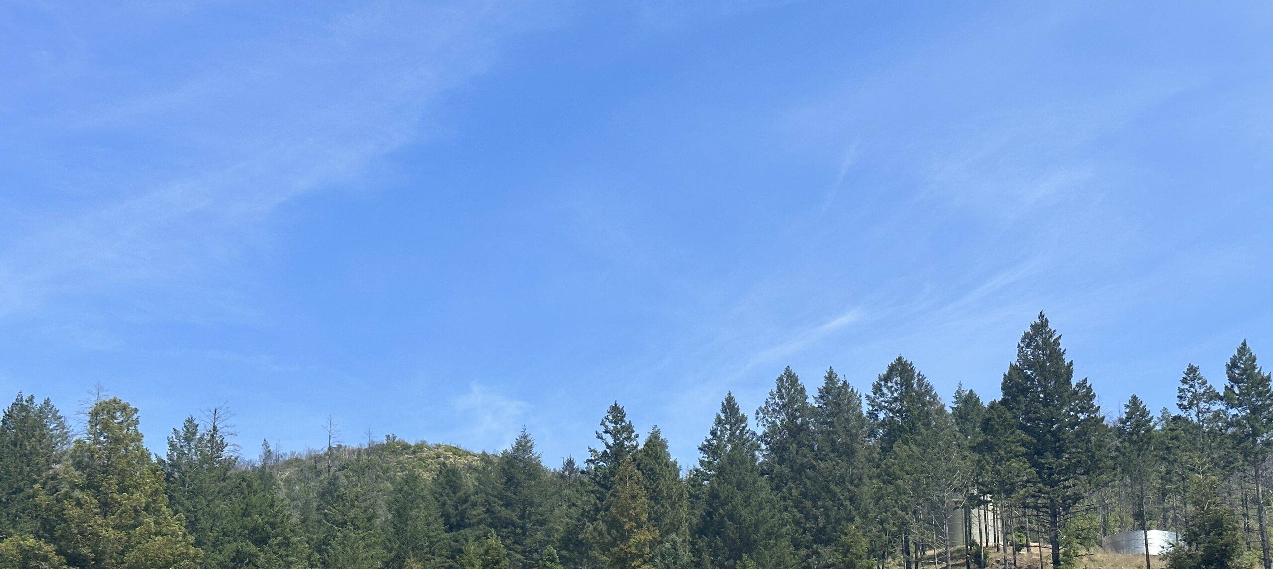 Multi-faith Family Camp - Camp Newman